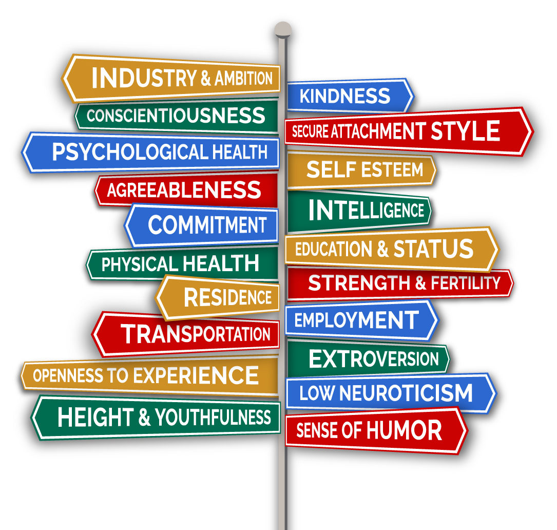 Mate Value & Relationship Compatibility - D'Arienzo Psychology